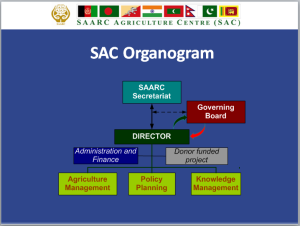 Organogram | sac