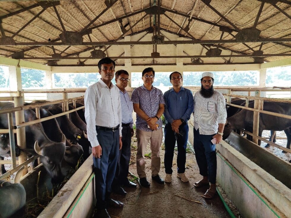 Visiting Report of SAC team to National Buffalo Breeding Farm at Bagerhat | sac